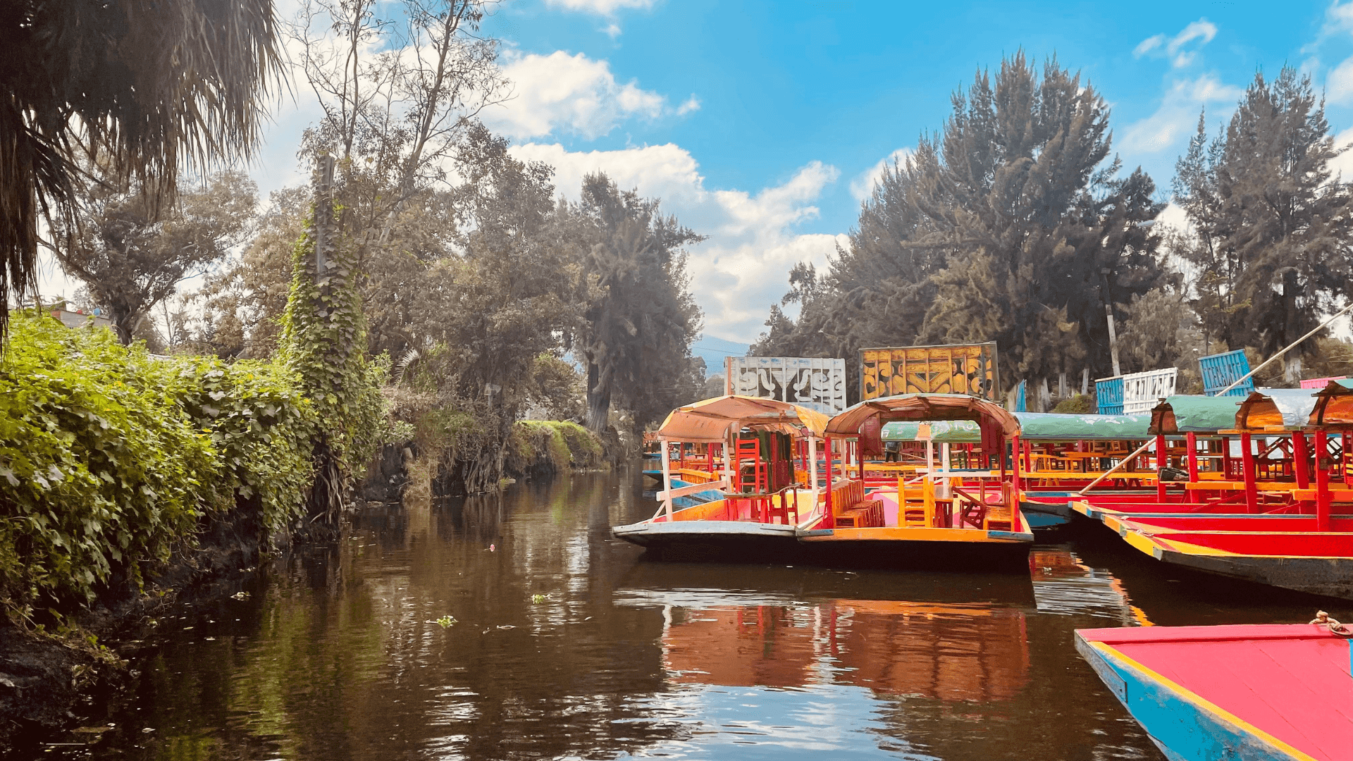 Mexico City Private Tour to Xochimilco and Coyoacan- Tour VIP